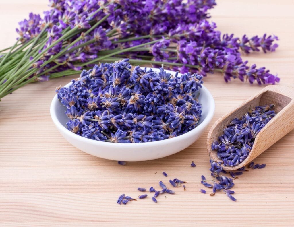 Conoce los beneficios de la lavanda en la piel - Dany Tips